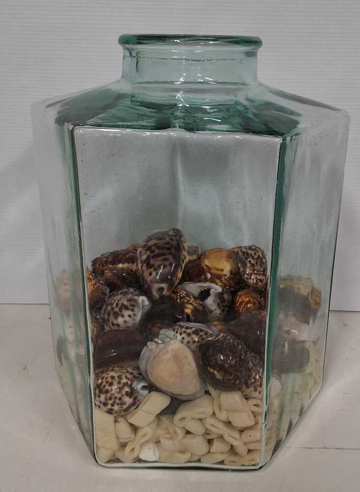JAR OF SHELLS